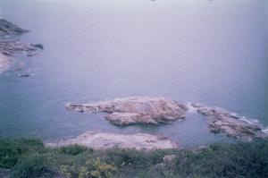 電波釣魚網 - 三家村釣點補充篇